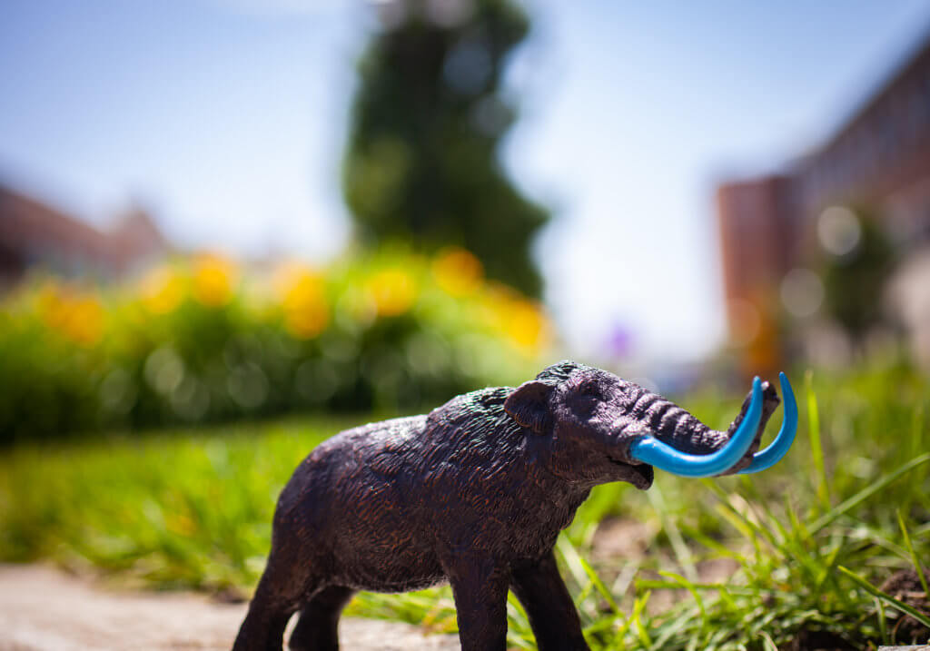 Mastodons On The Loose Scavenger Hunt - Lakeshore Museum Center